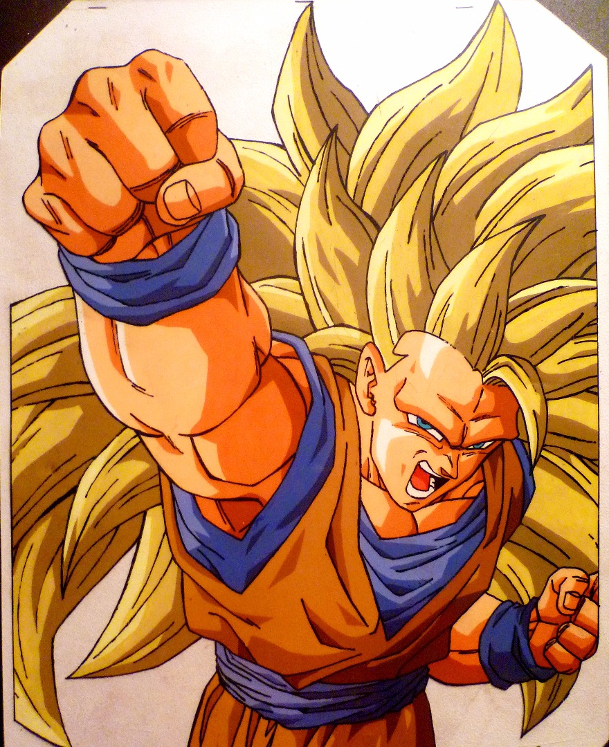 HERNAN TAMBORELLI ILUSTRADOR | GOKU NIVEL 3