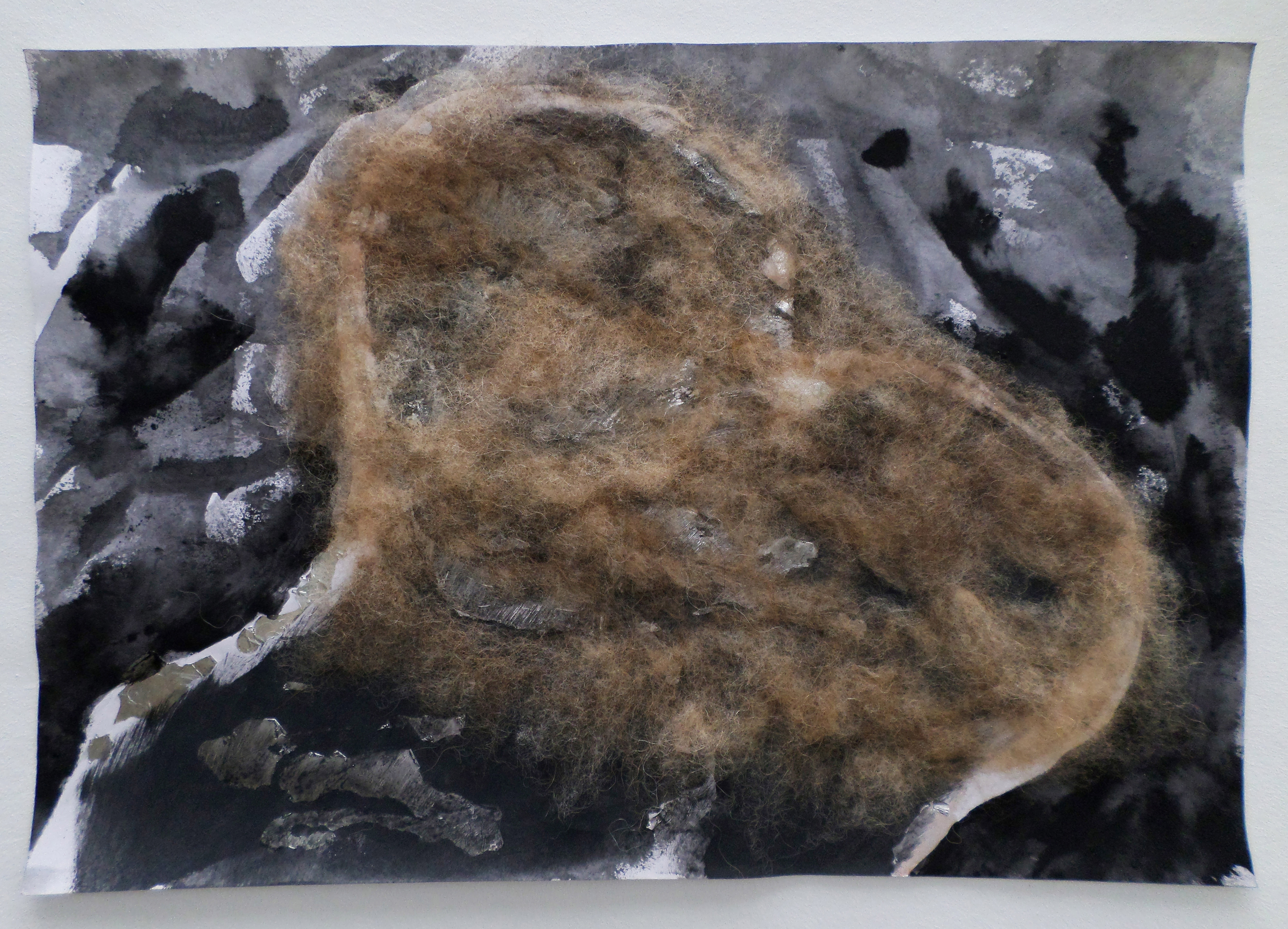 Senses, chaos and frequencies by William Marquina | Animal and ...