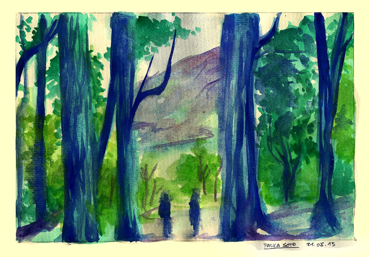 Paula Soto | DESIGNS & CONCEPTS