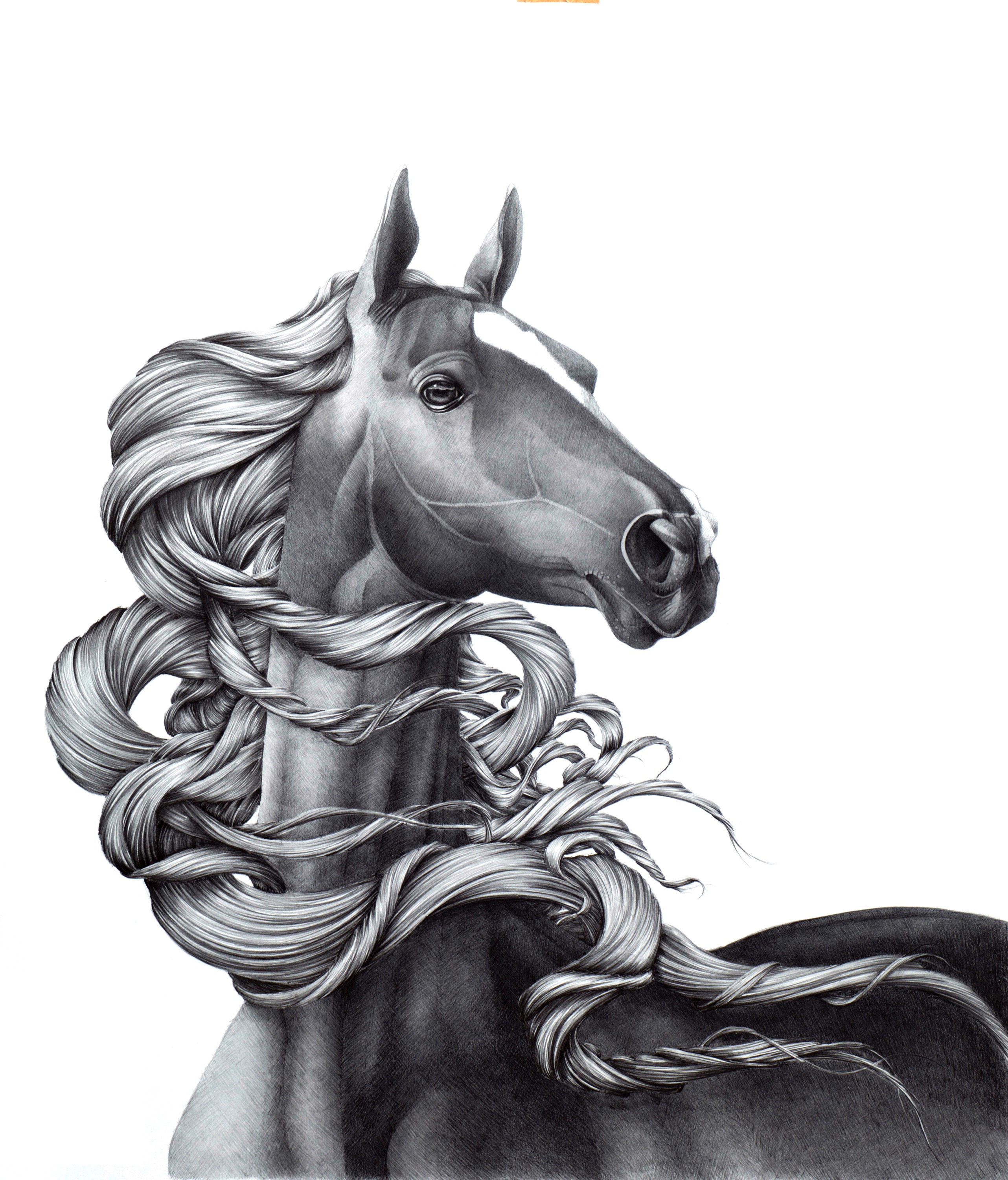 Victoria Scotti | Large Works