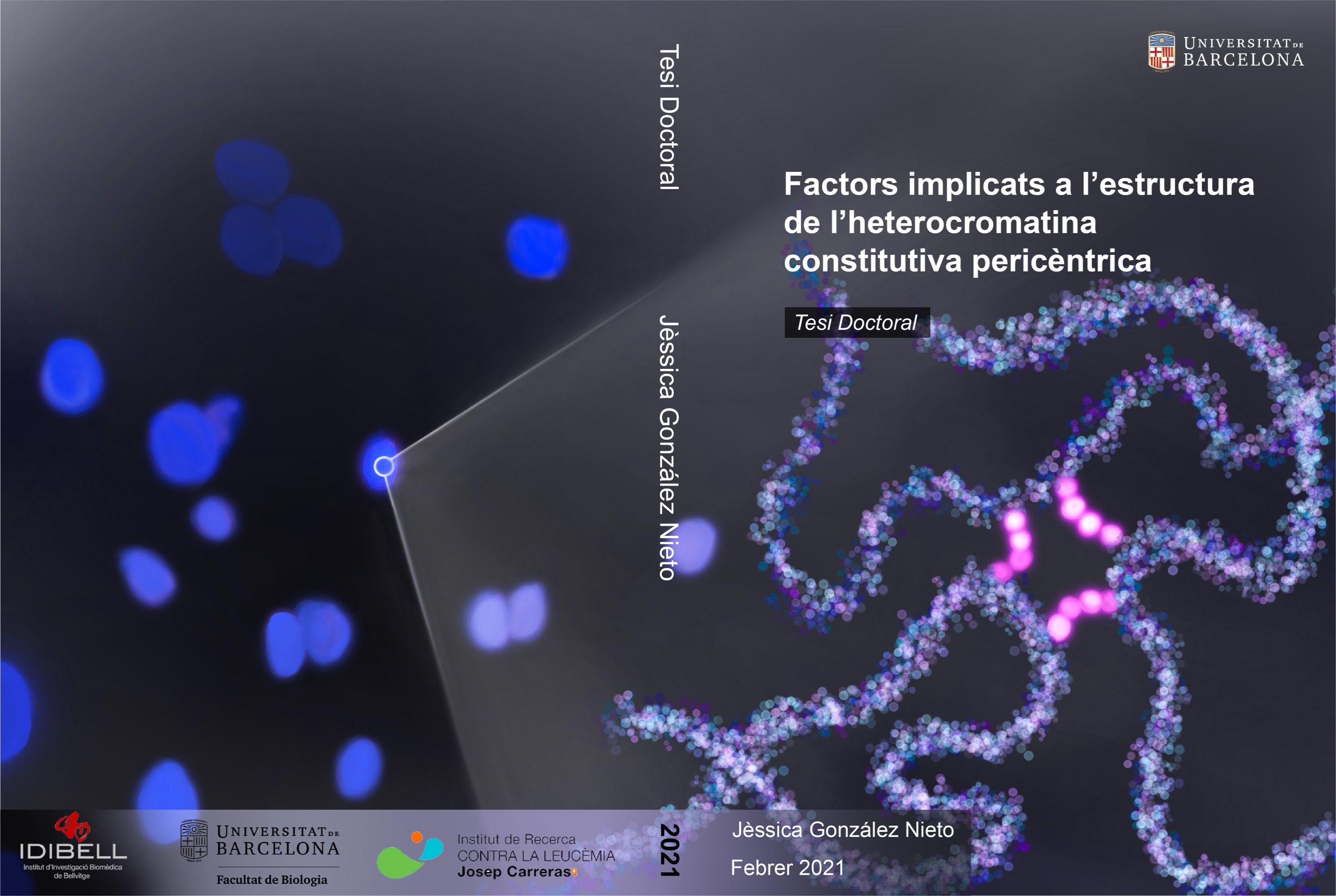 Drawing Life... and Science | Thesis