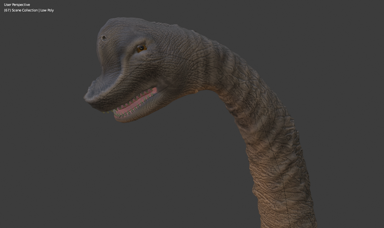 Steve Rosado | Modelos