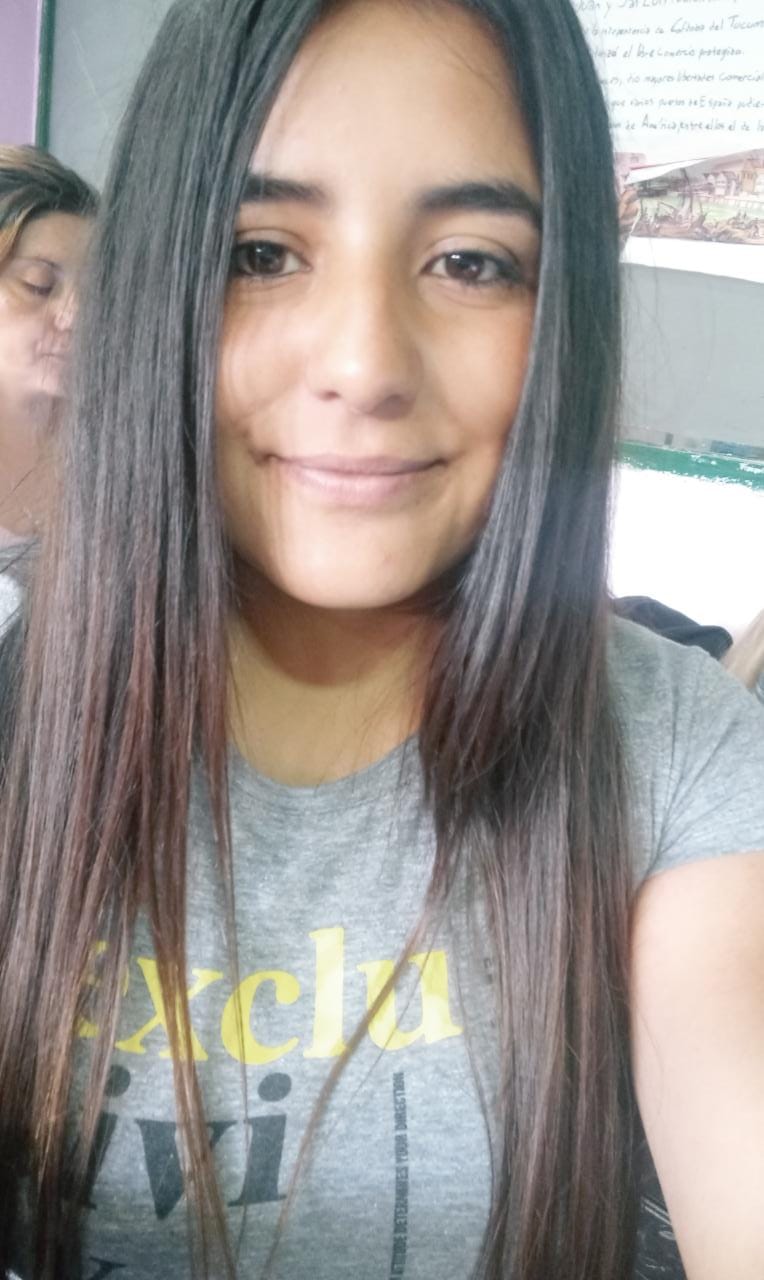 Práctica profesional docente I