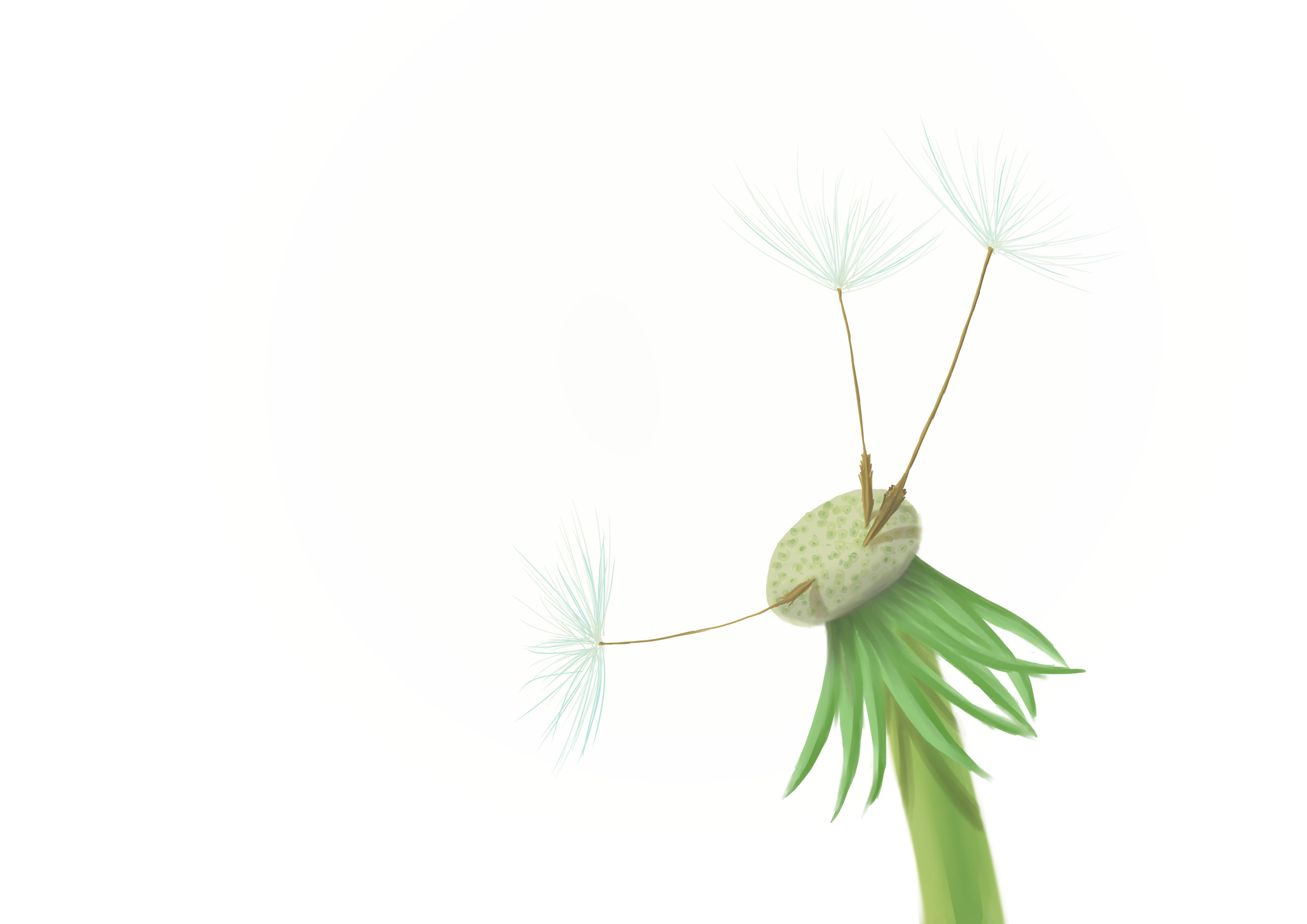 Nil Inka | Child book "Es de Bien Nacidos ser Agradecidos"