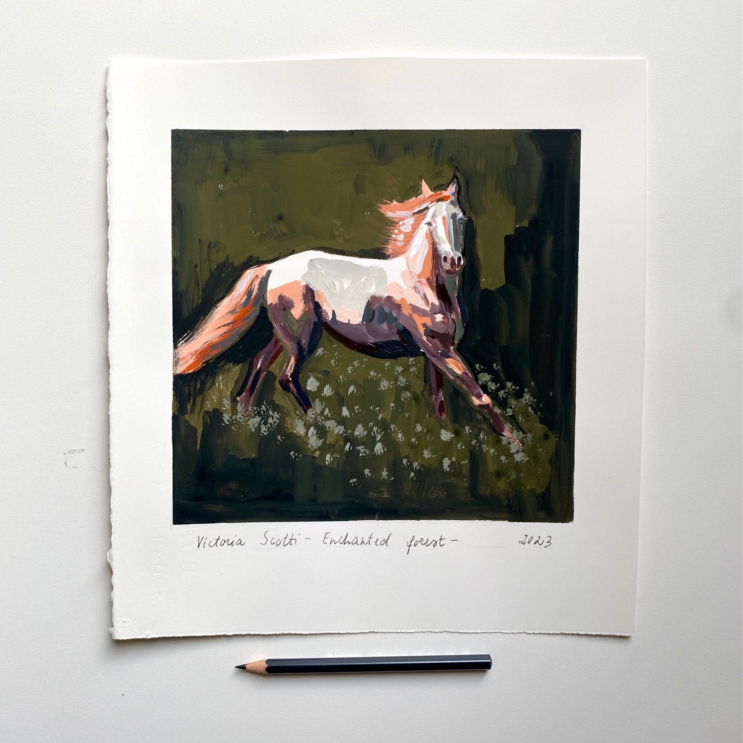 Victoria Scotti | Enchanted forest